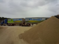 PACIFIC FERTILISER – Superior Products, Superior Results